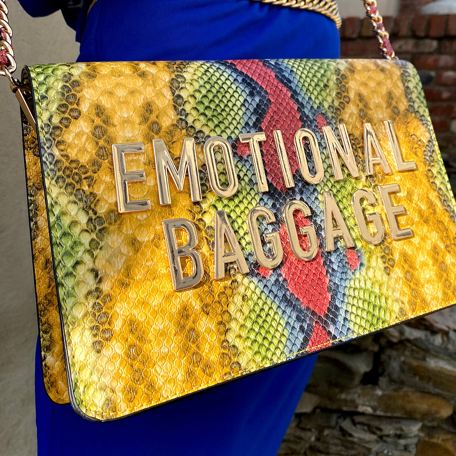 Emotional Baggage Purse – DASH OF PEP